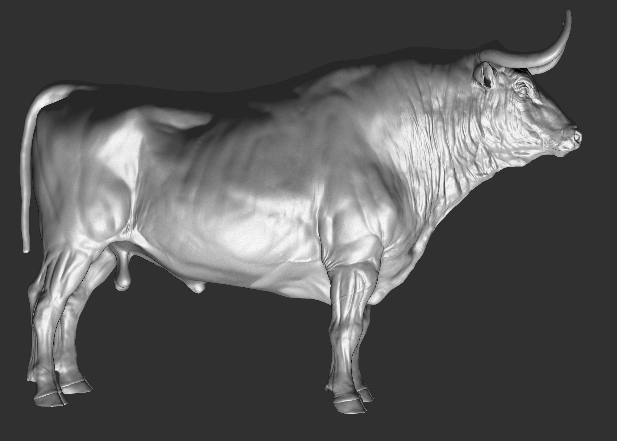 Toro bull 3D model - TurboSquid 1394459