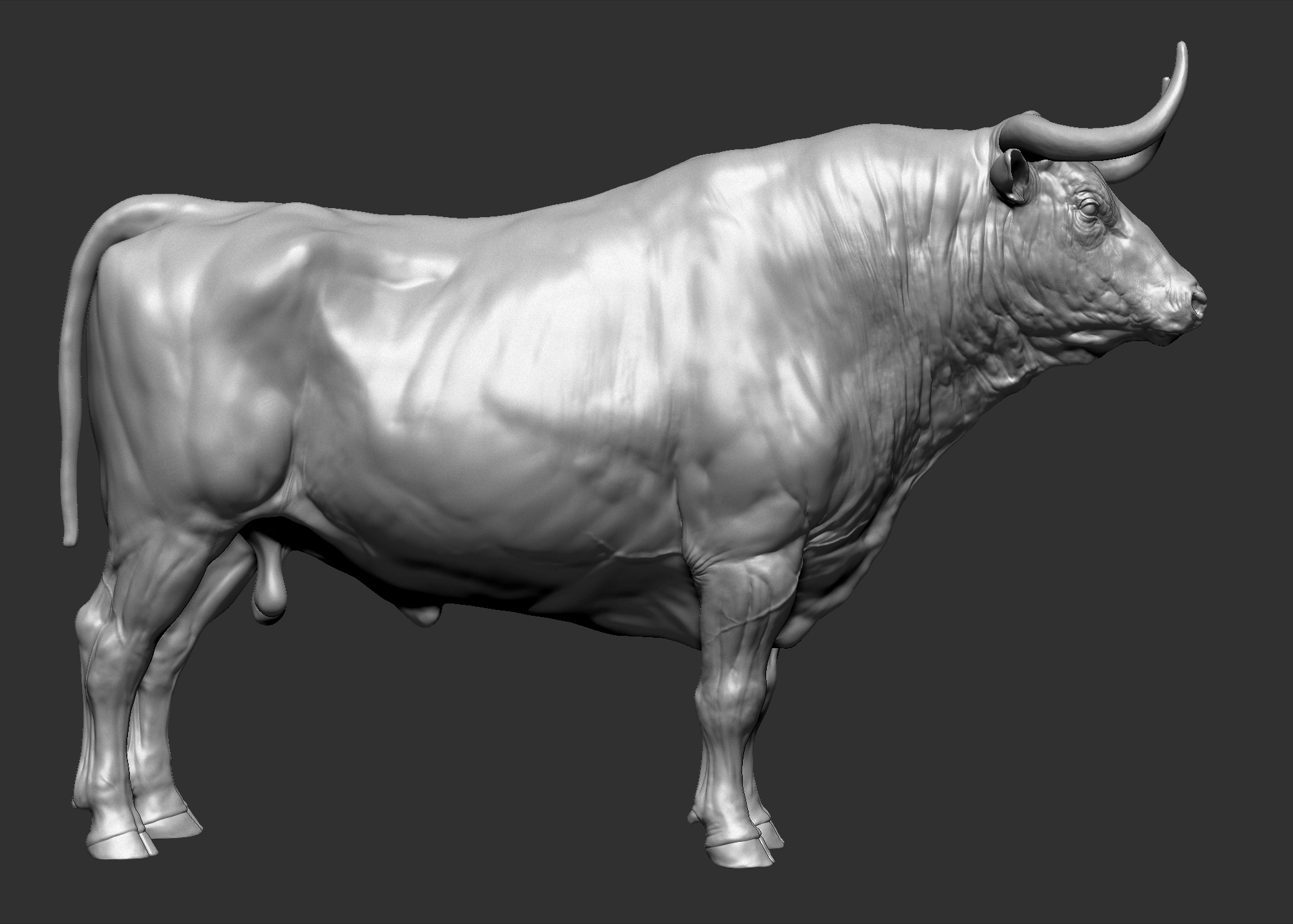 Toro bull 3D model - TurboSquid 1394459