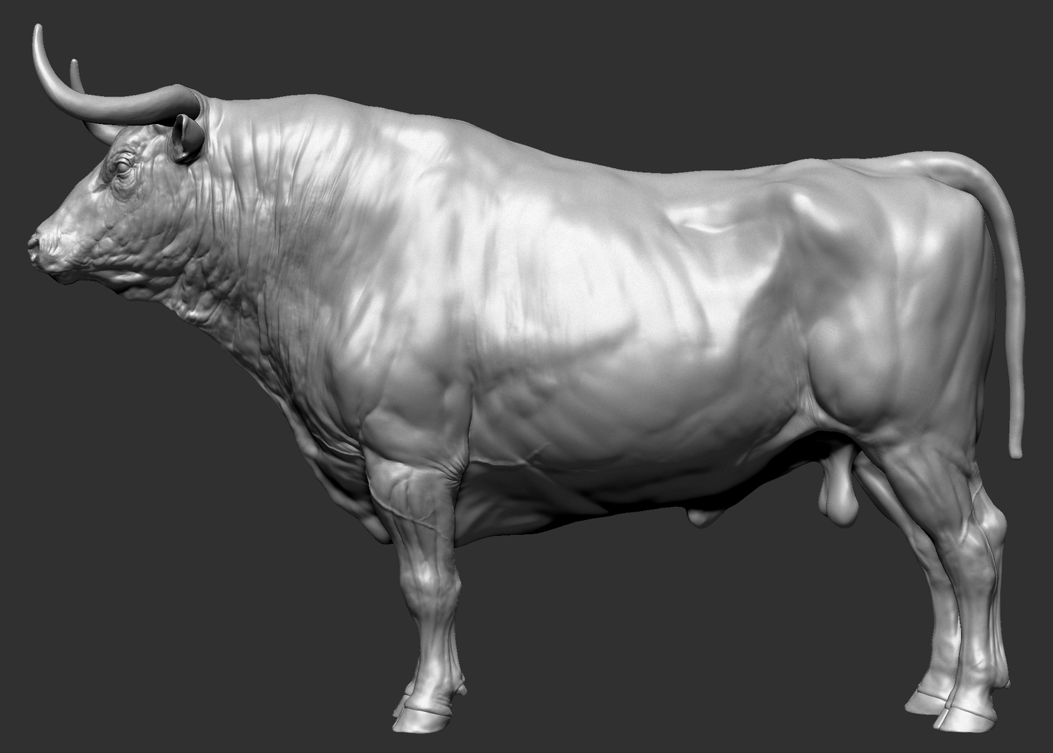 Toro bull 3D model - TurboSquid 1394459
