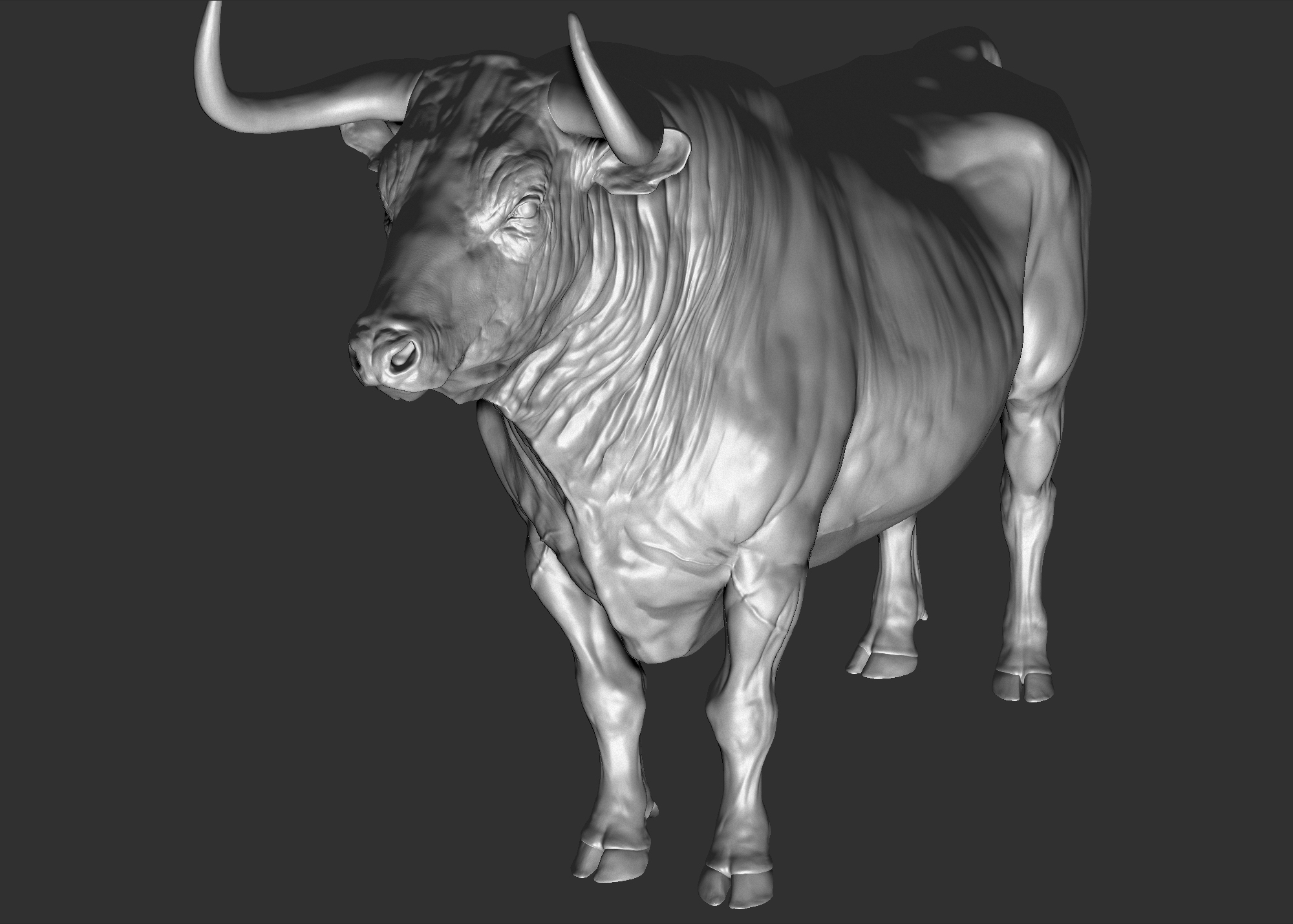 Toro bull 3D model - TurboSquid 1394459