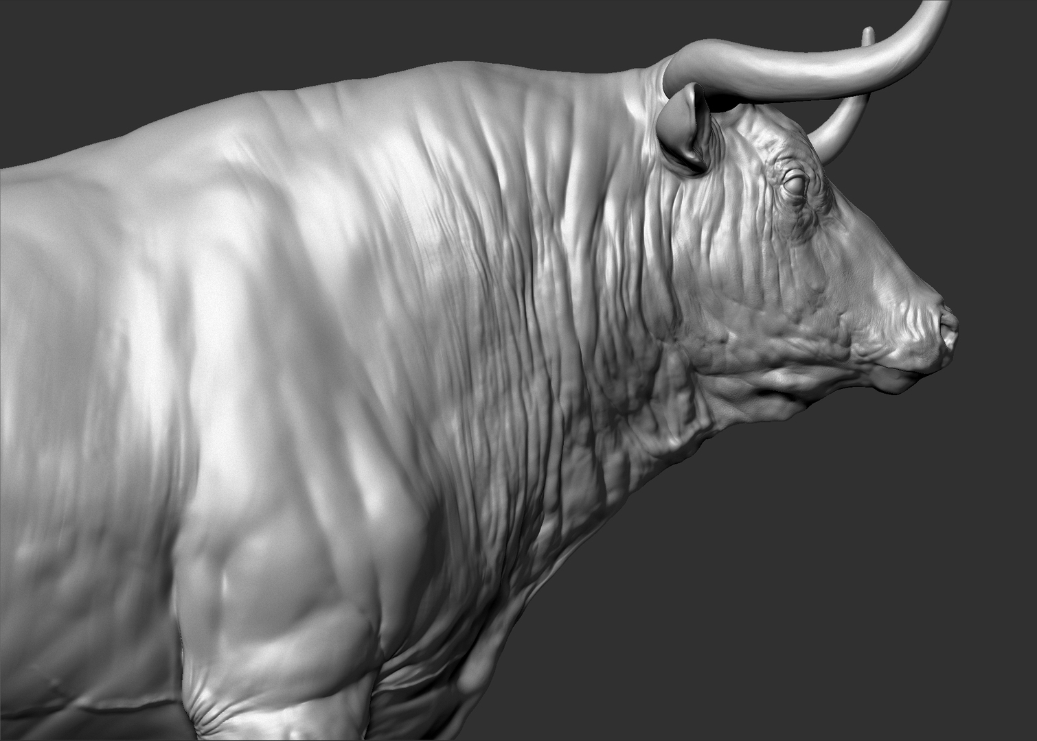 Toro bull 3D model - TurboSquid 1394459
