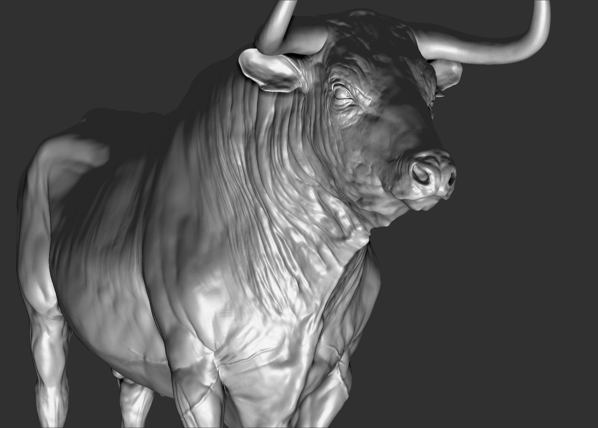 Toro bull 3D model - TurboSquid 1394459