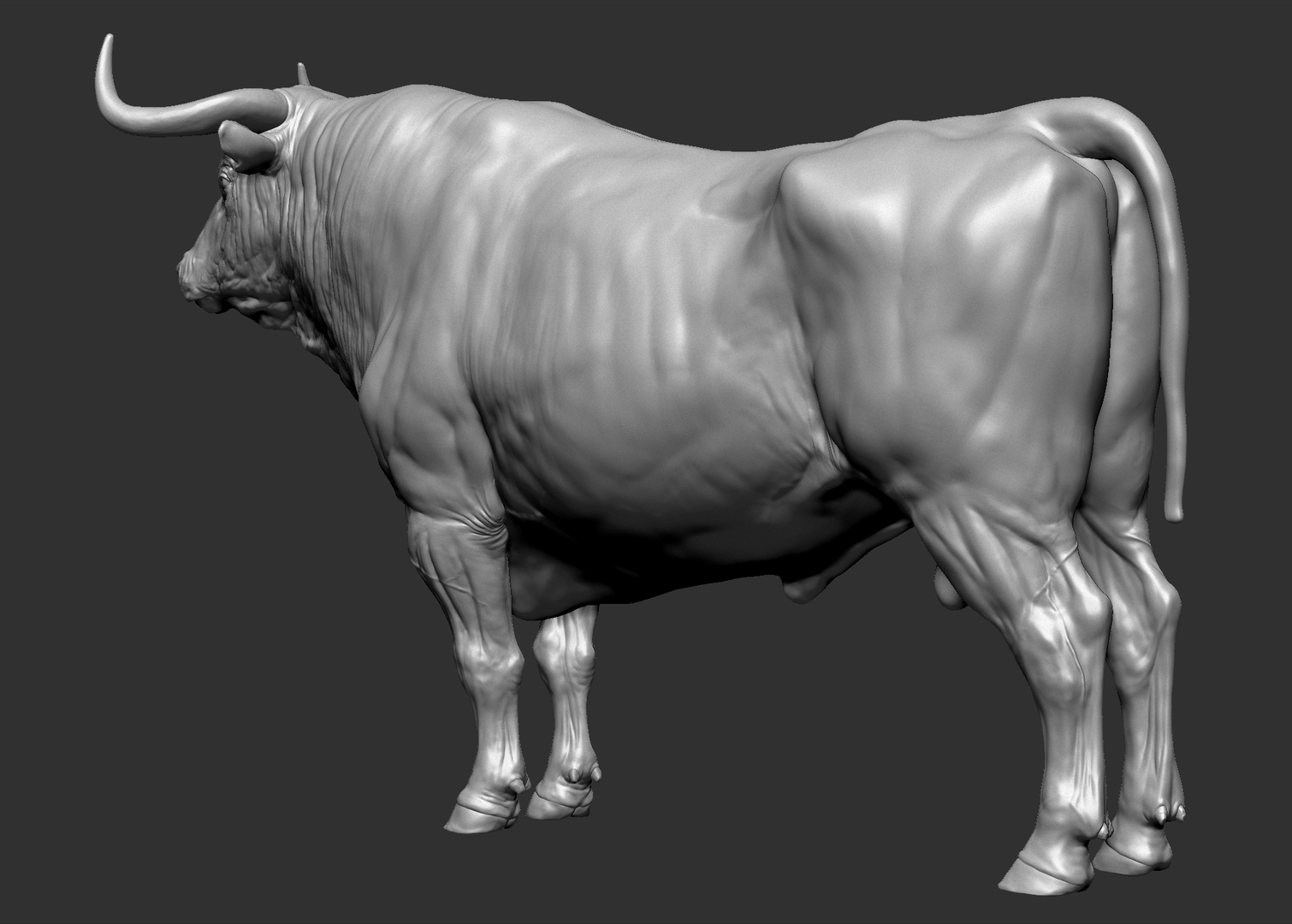 Toro bull 3D model - TurboSquid 1394459