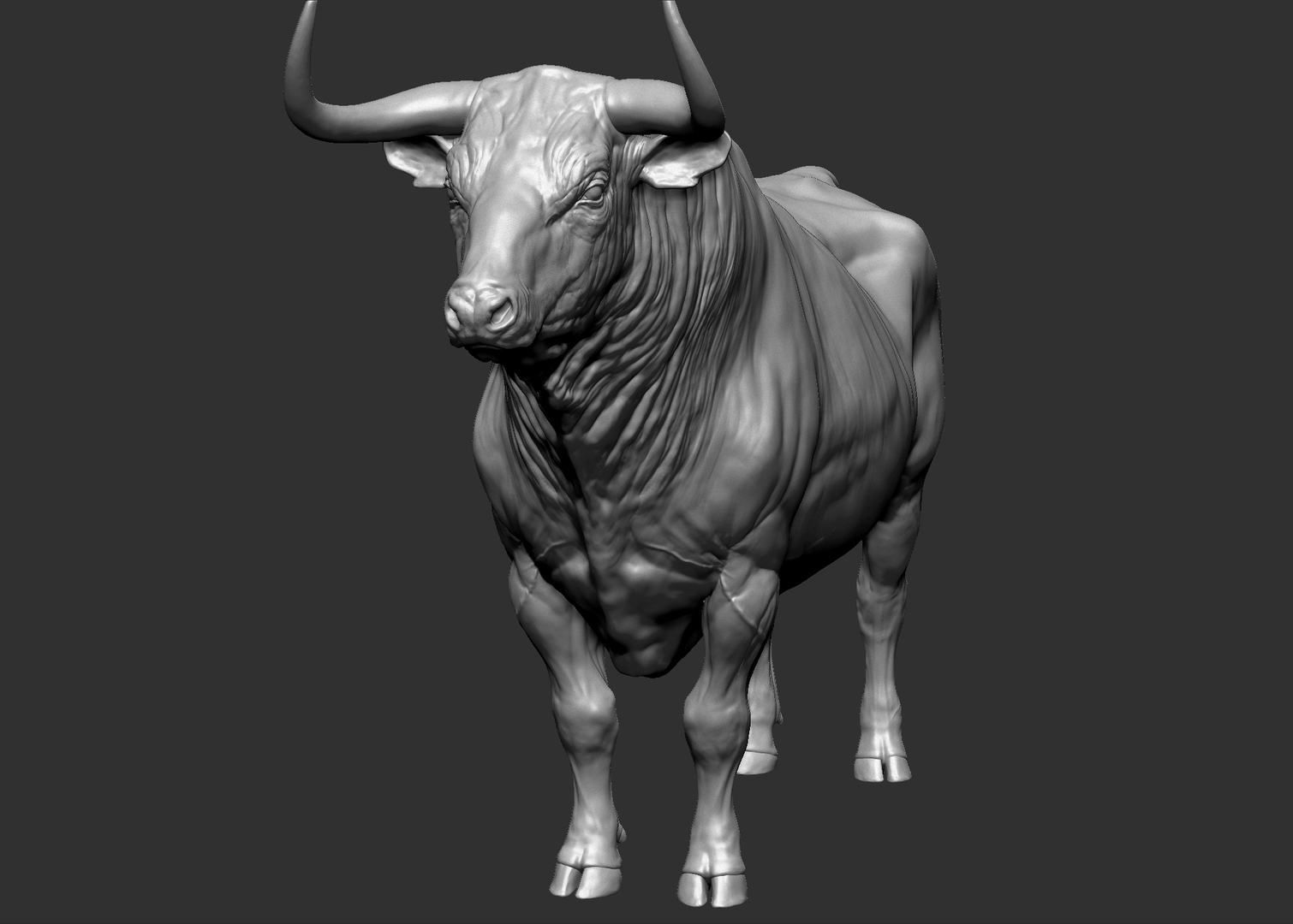 Toro bull 3D model - TurboSquid 1394459
