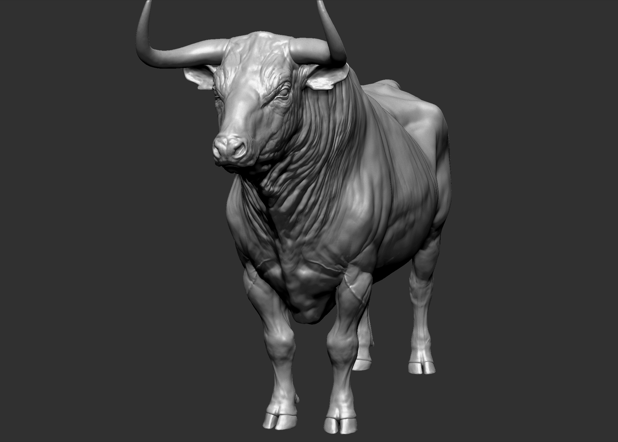 Toro bull 3D model - TurboSquid 1394459