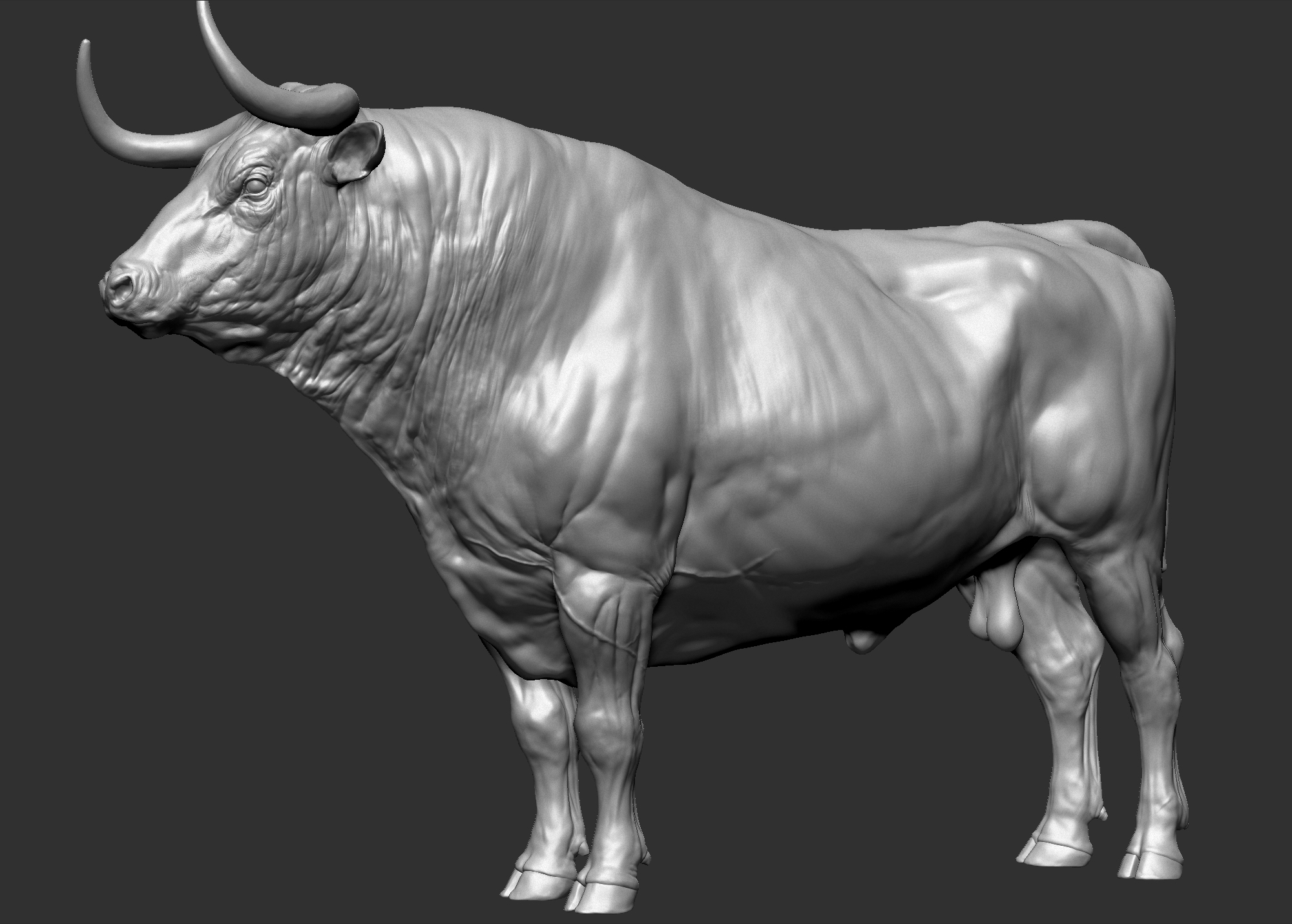 Toro bull 3D model - TurboSquid 1394459