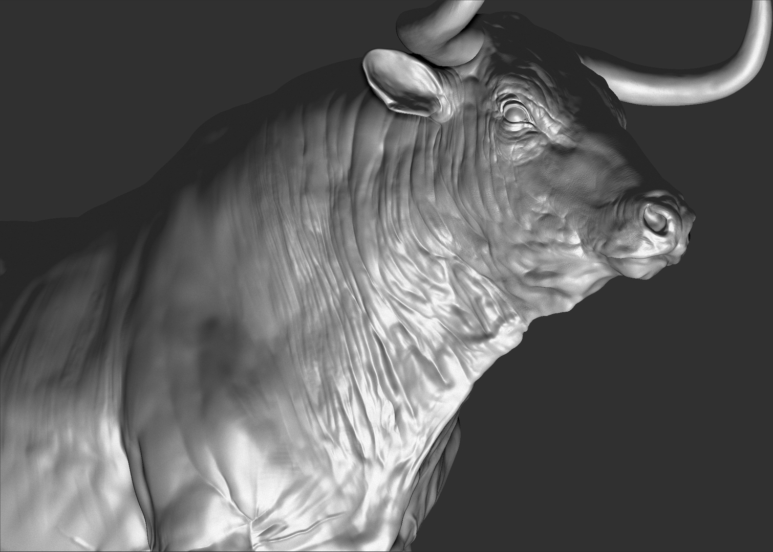 Toro bull 3D model - TurboSquid 1394459