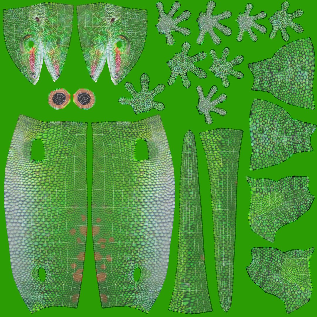 Madagascar Day Gecko Model - TurboSquid 1766053