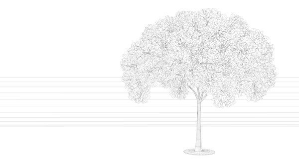 3d tree leaf model