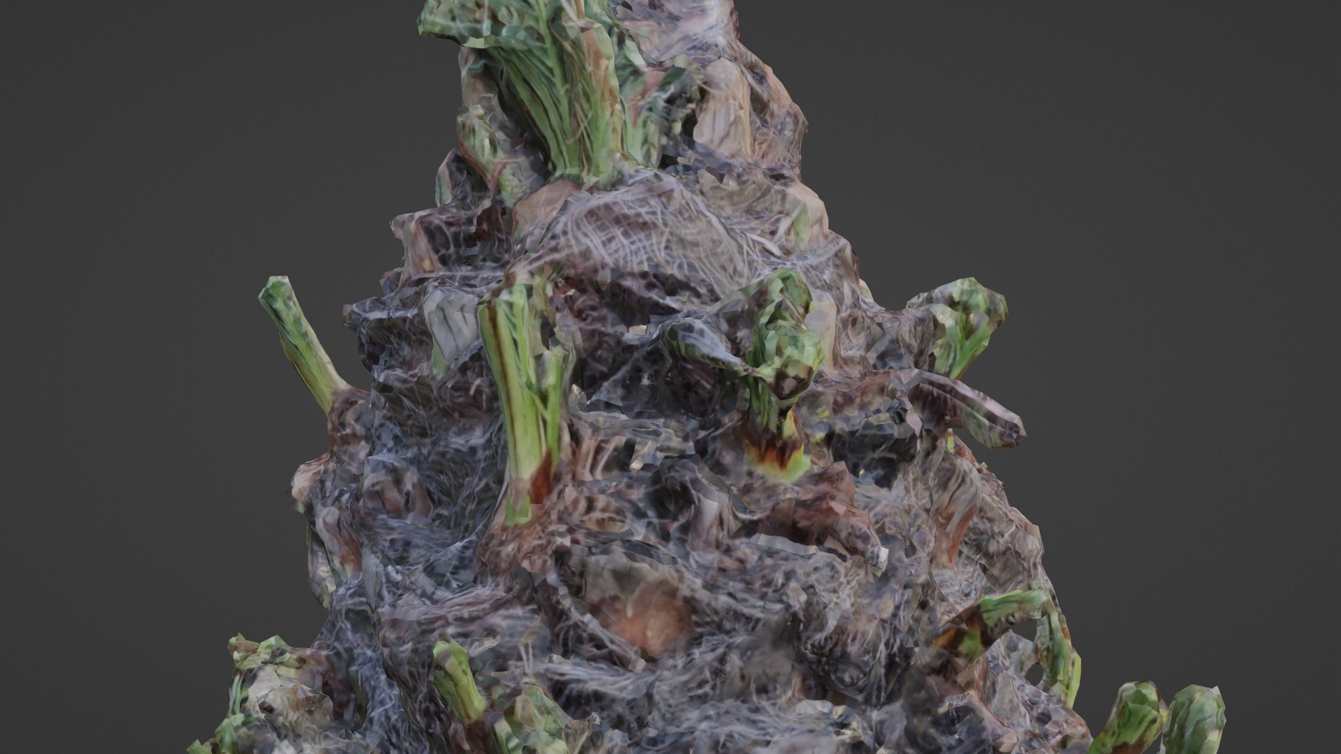 Plam Base Model - TurboSquid 2332314