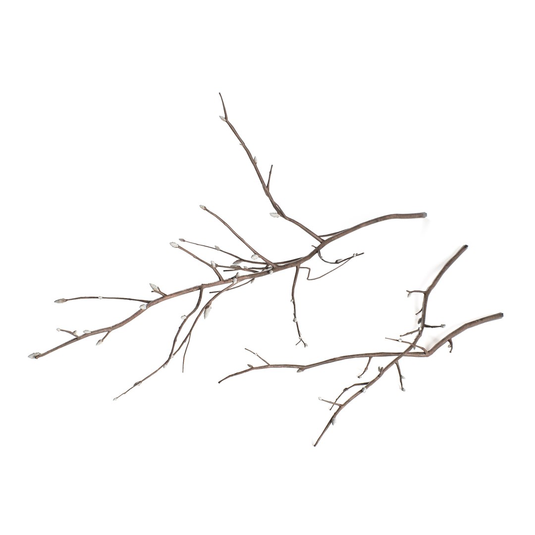 3D Branches Decoration - TurboSquid 1193863
