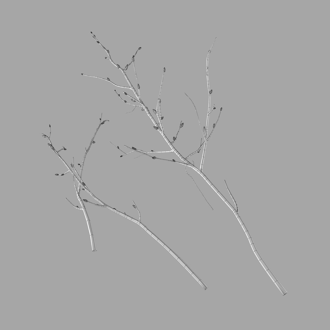3D Branches Decoration - TurboSquid 1193863