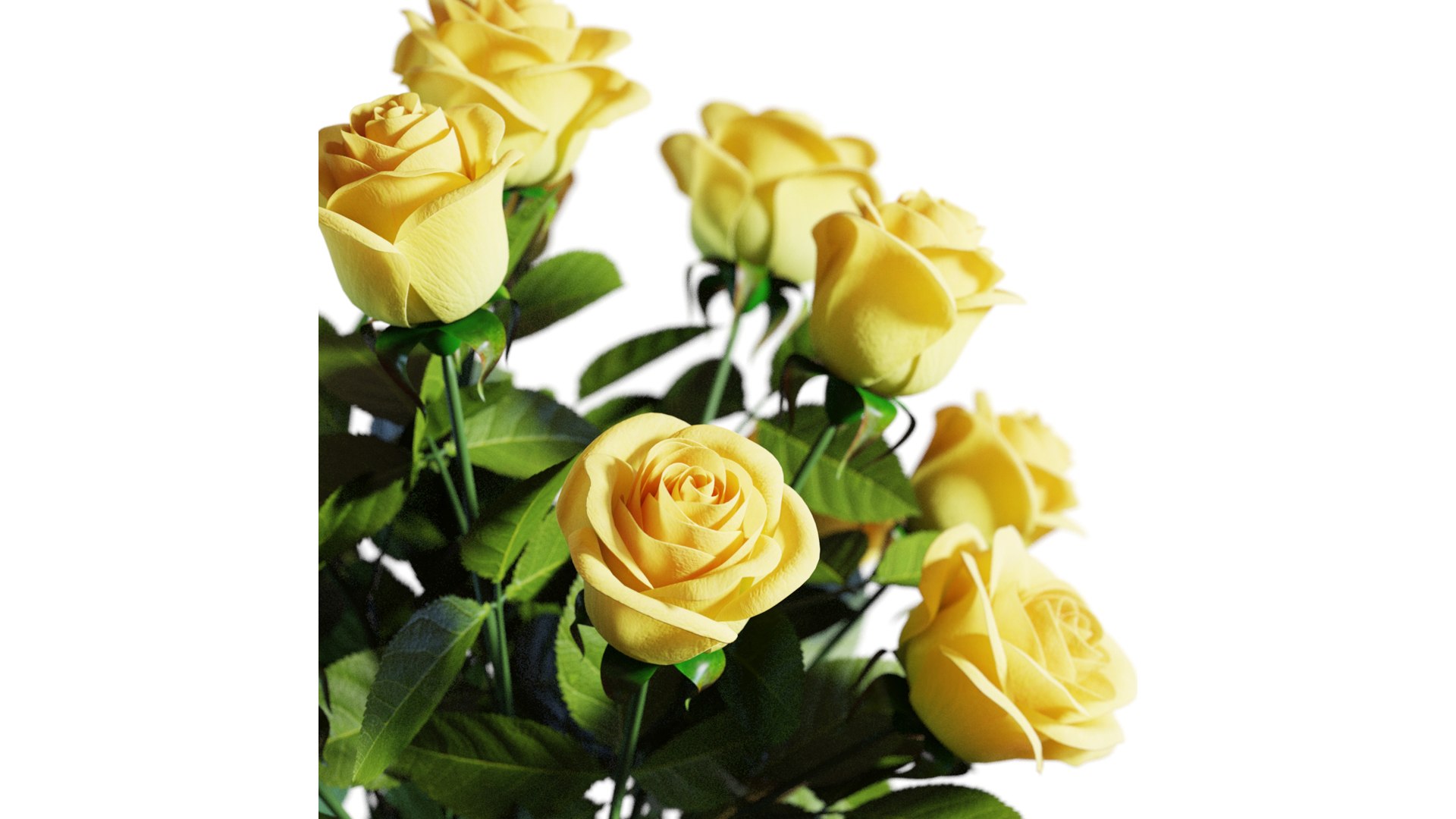 3D Model Flower Set 05 Yellow Roses Bouquet - TurboSquid 1804060