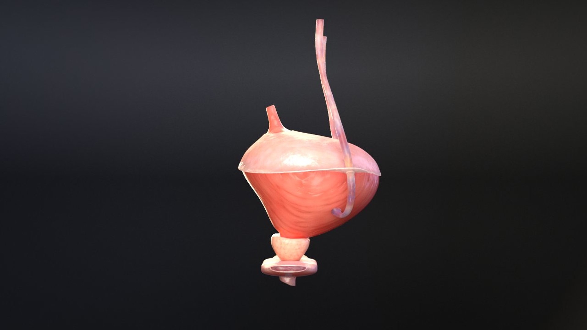 3D cross section - TurboSquid 1411663