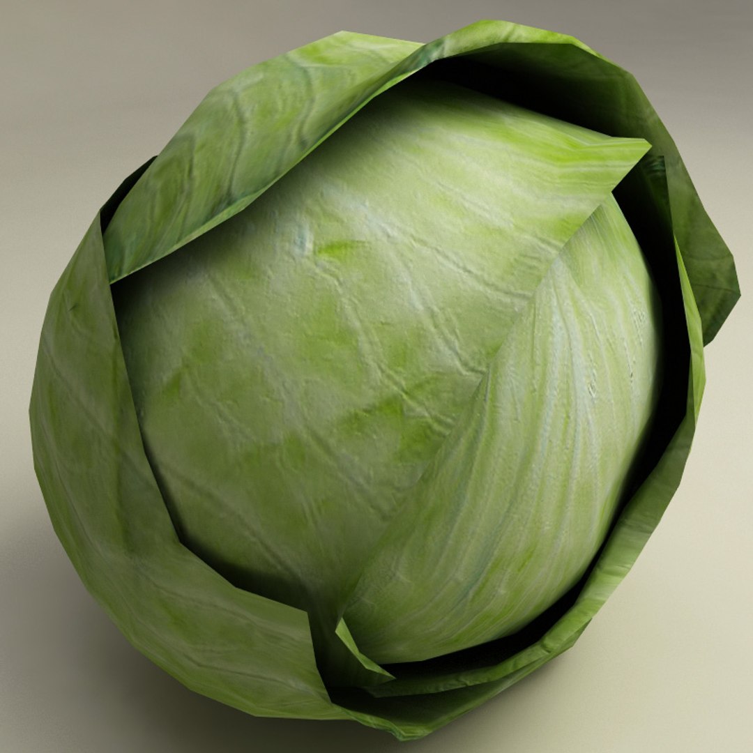 3d Model Cabbage Modelled