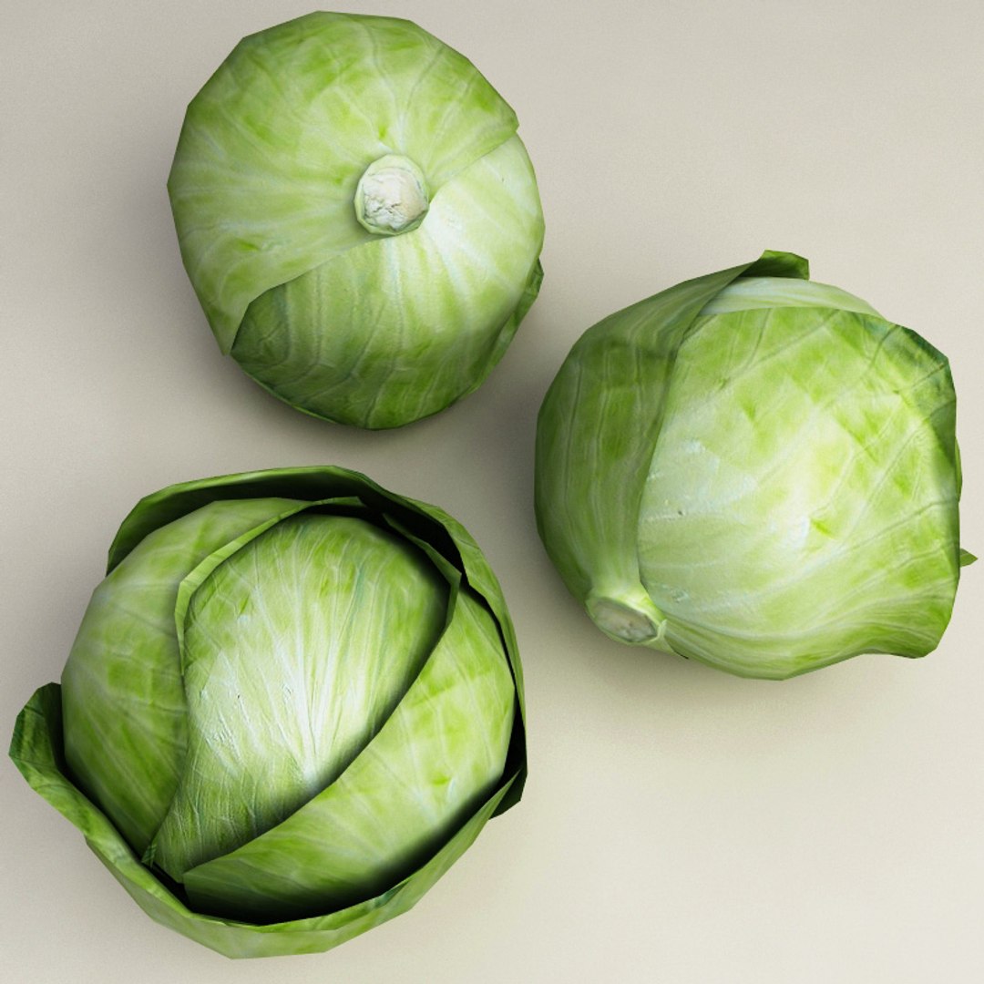 3d Model Cabbage Modelled