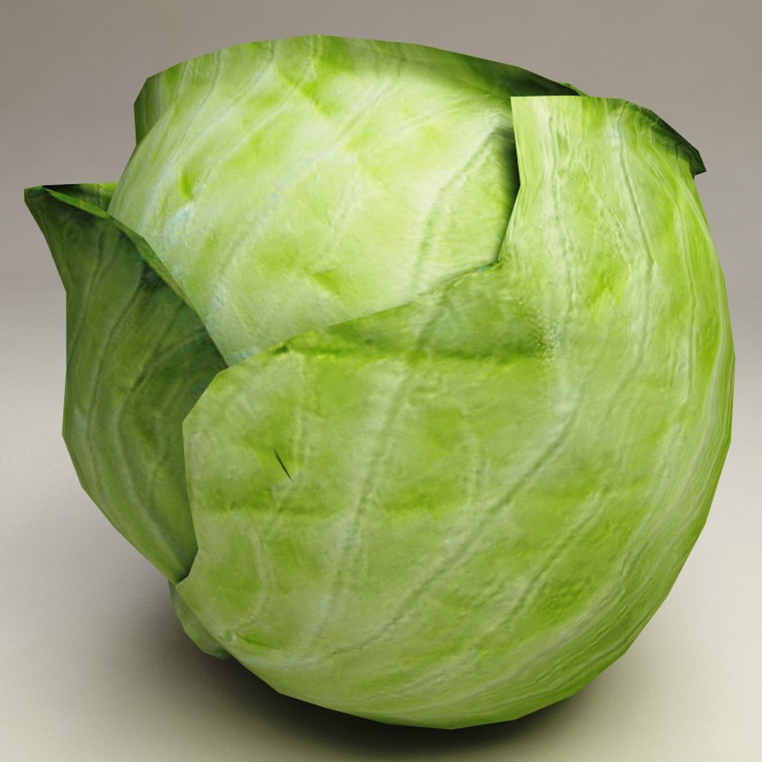3d Model Cabbage Modelled