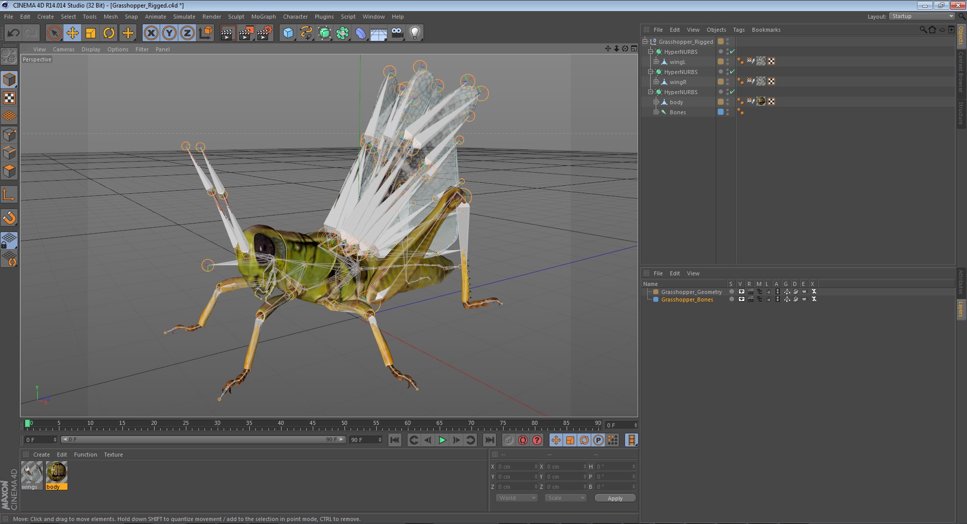 3D Grasshopper Rigged - TurboSquid 1244134