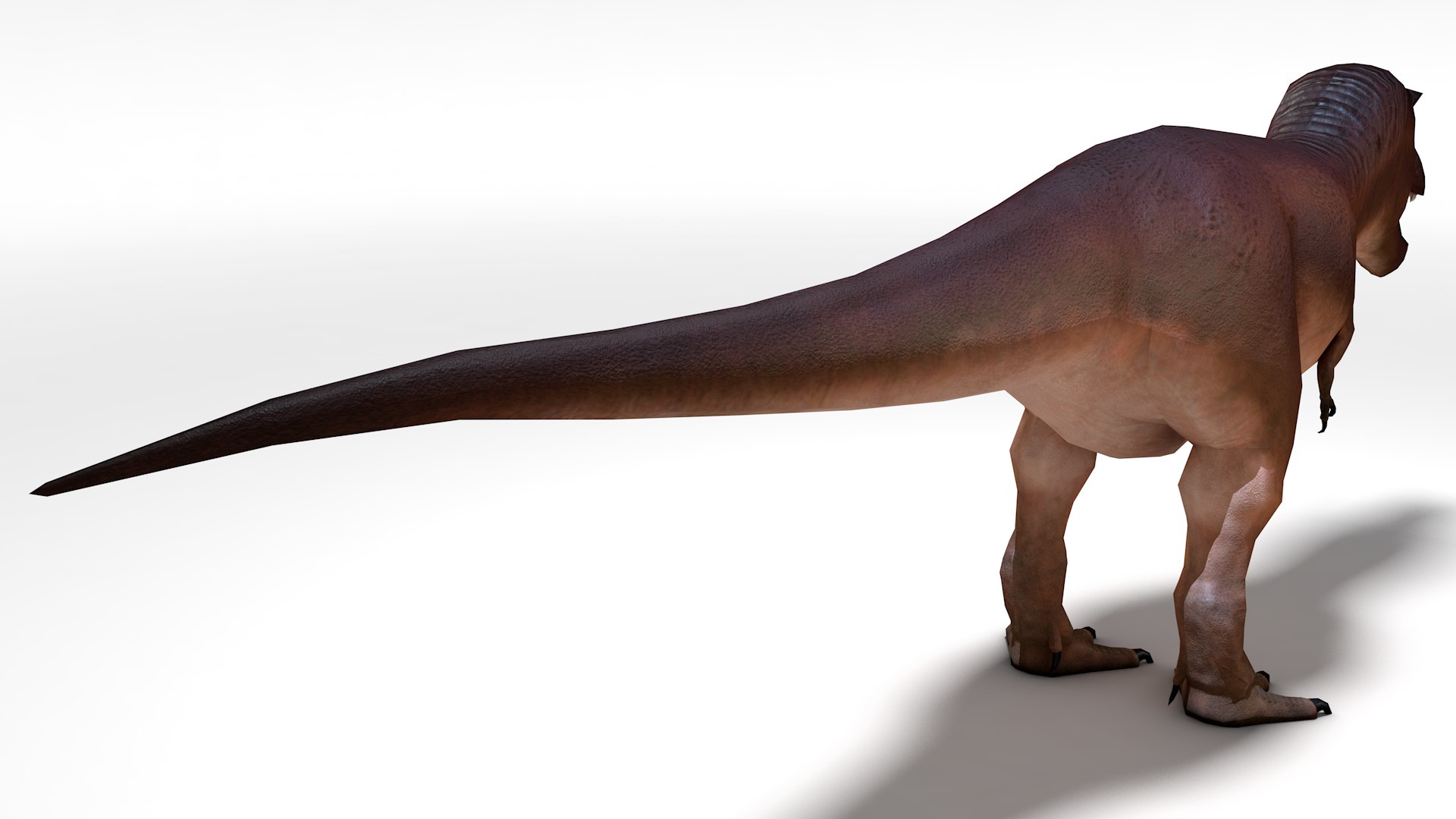 Paleo Accurate T 3D - TurboSquid 1625561