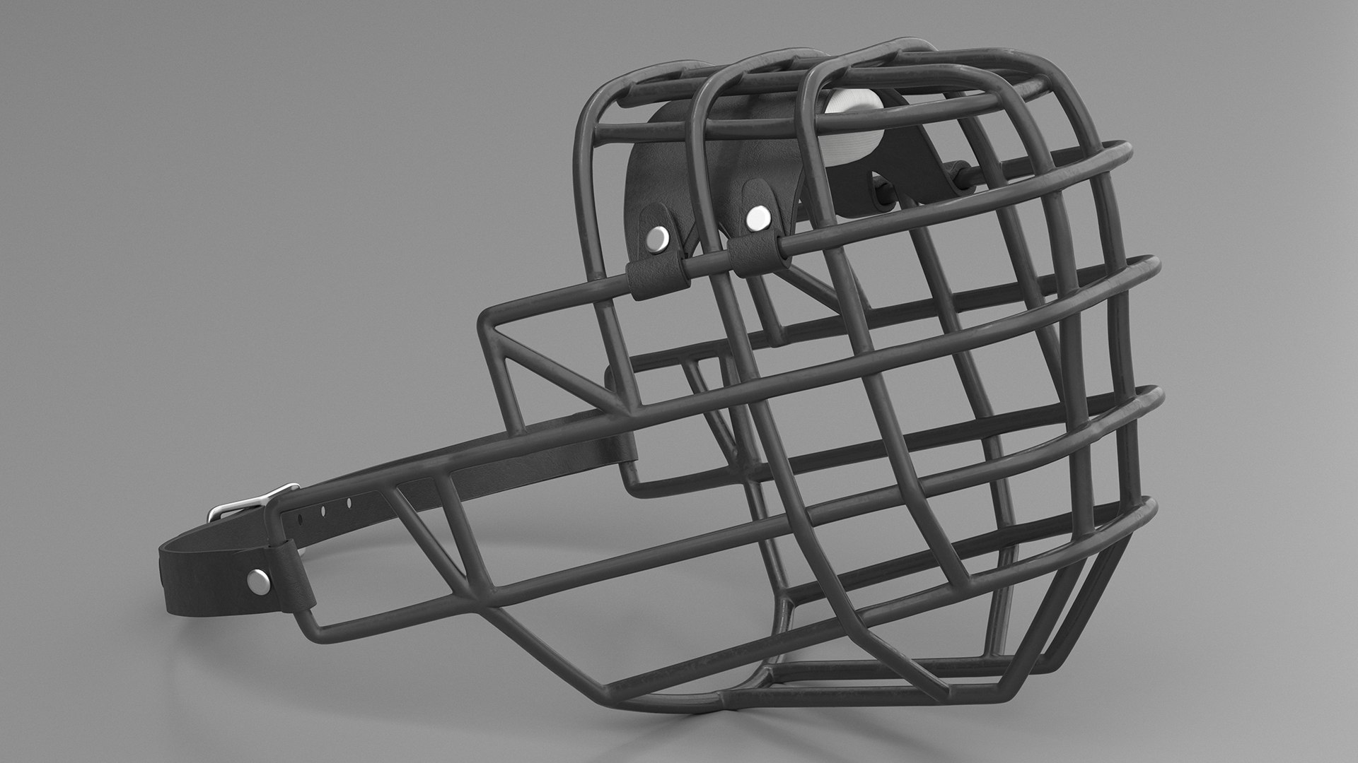 Cage Dog Muzzle Xoloitzcuintle 3D - TurboSquid 2284119