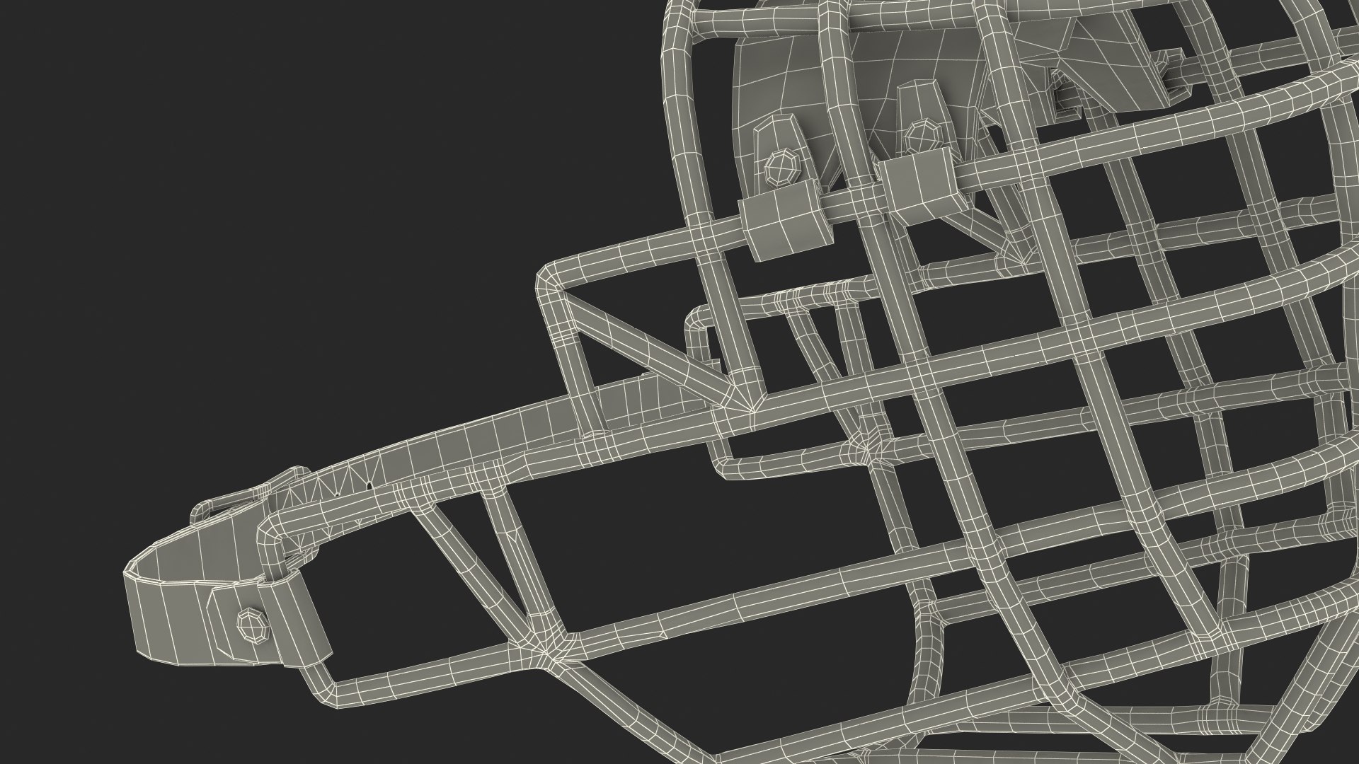 Cage Dog Muzzle Xoloitzcuintle 3D - TurboSquid 2284119