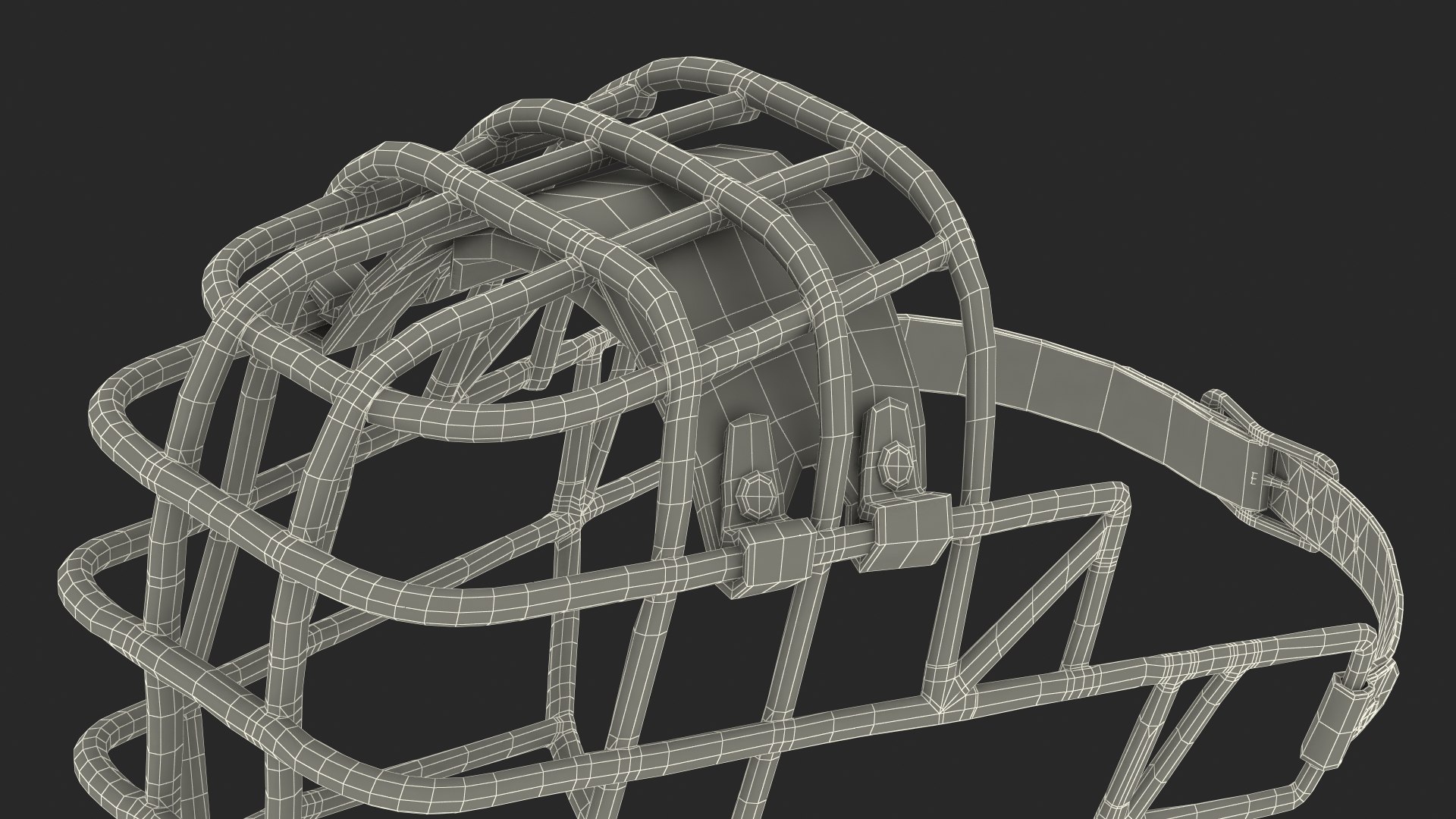 Cage Dog Muzzle Xoloitzcuintle 3D - TurboSquid 2284119