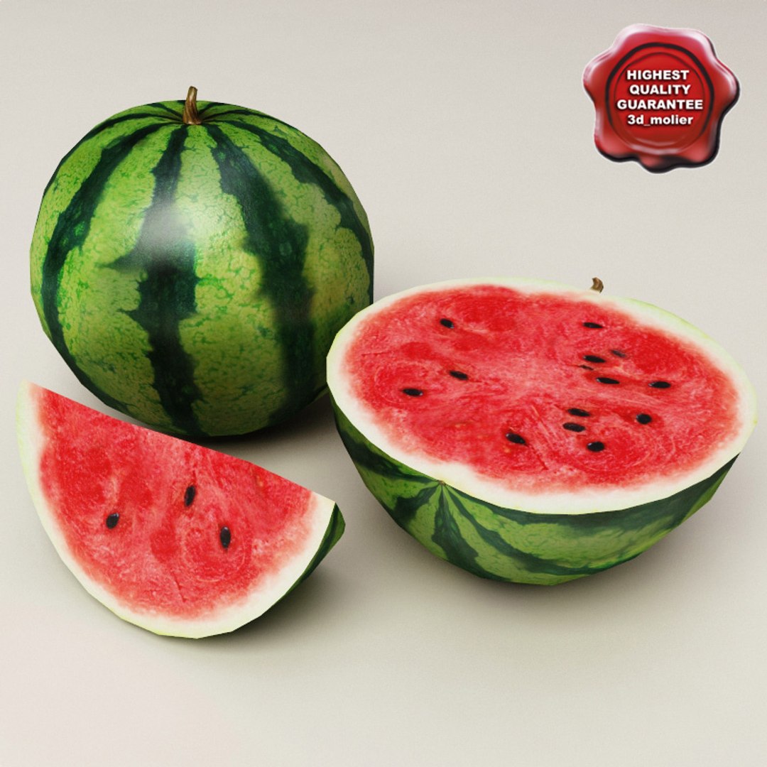 Max Watermelons Modelled