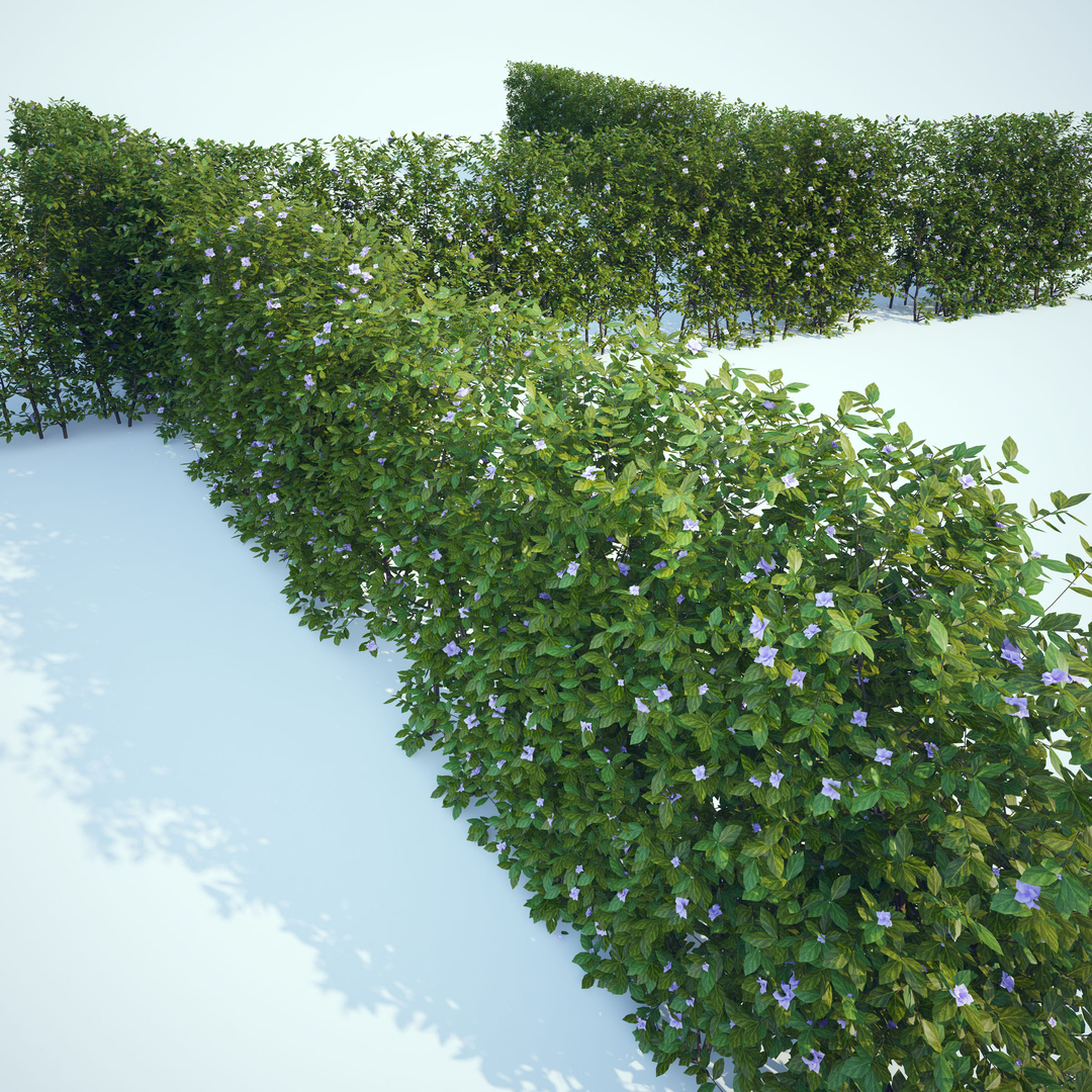 3D Wind Generic Blooming Hedge - TurboSquid 1330507