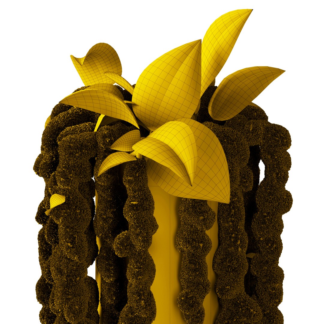 Realistic green amaranthus 3D model - TurboSquid 1344902