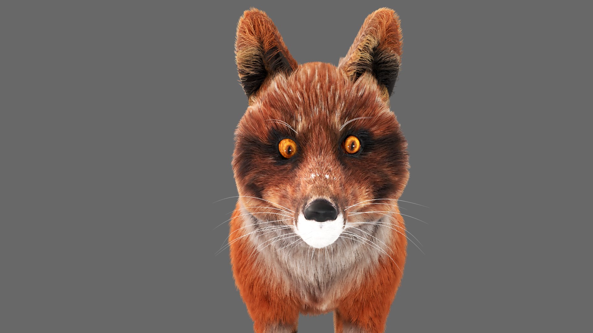 3D Hair Fur Red Fox Low-poly 3D Model Model - TurboSquid 1720406