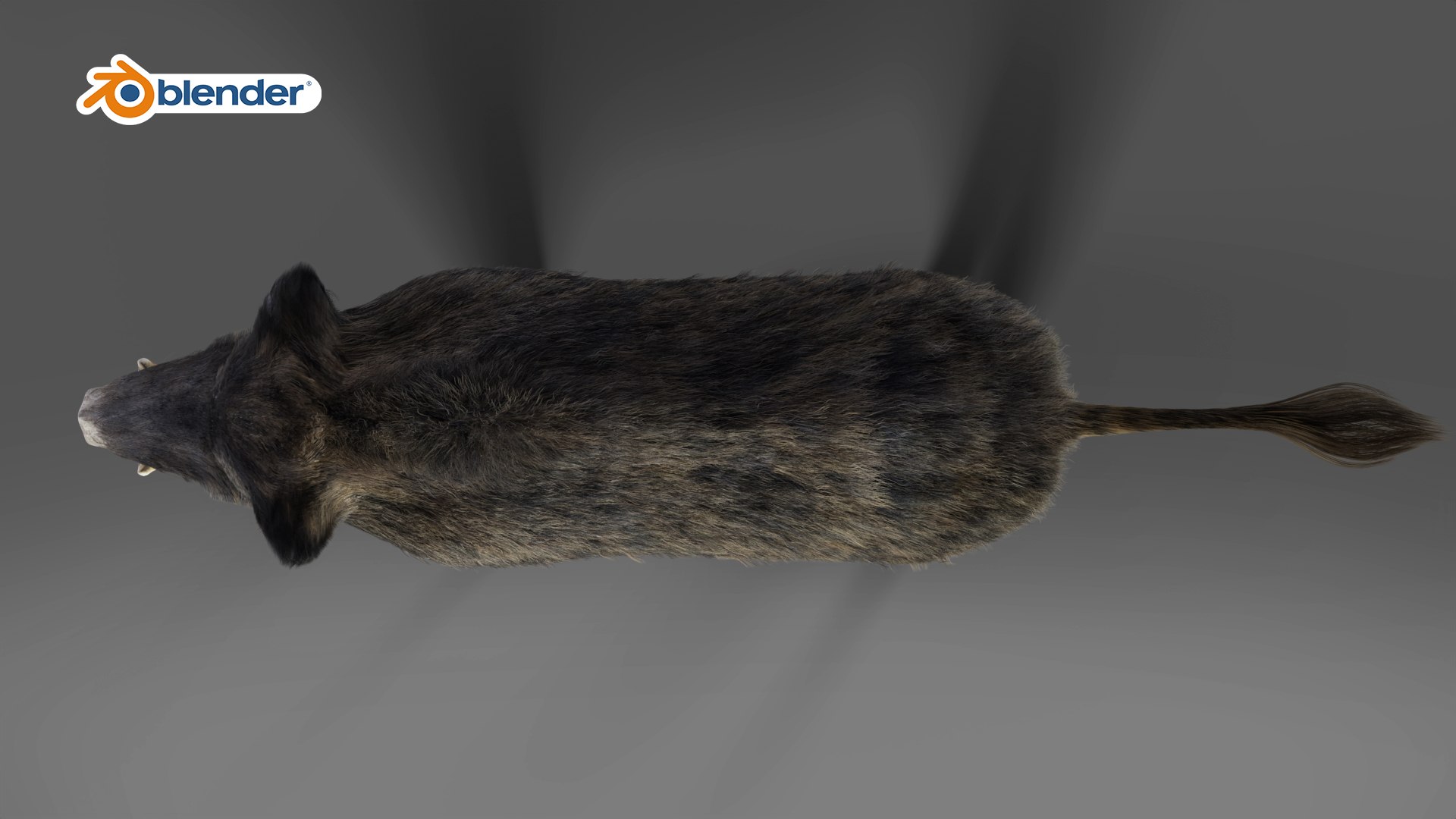 3D Fur Wild Boar Rigged And Animation In Blender Model - TurboSquid 1990500