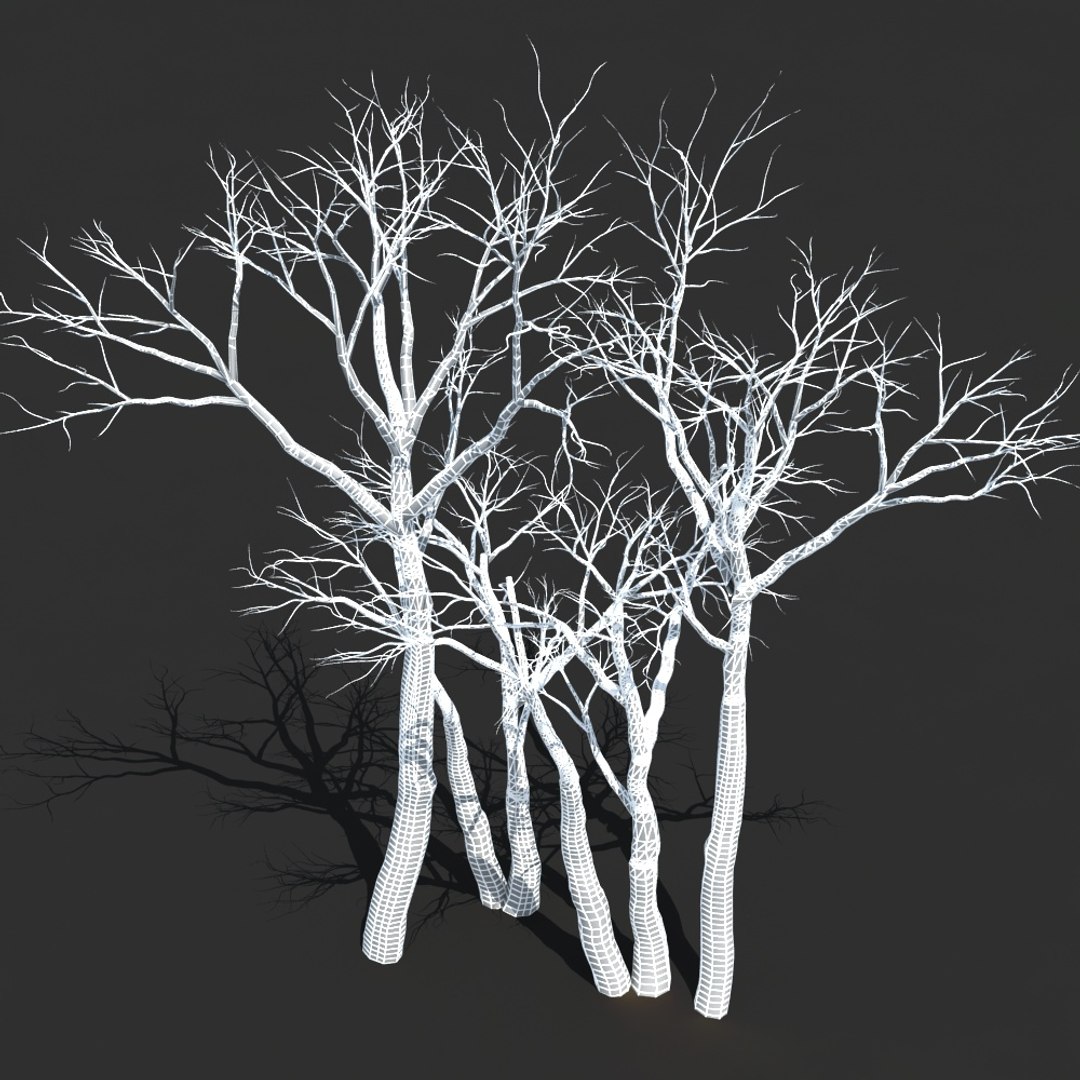 Scary Tree Dry 3d X