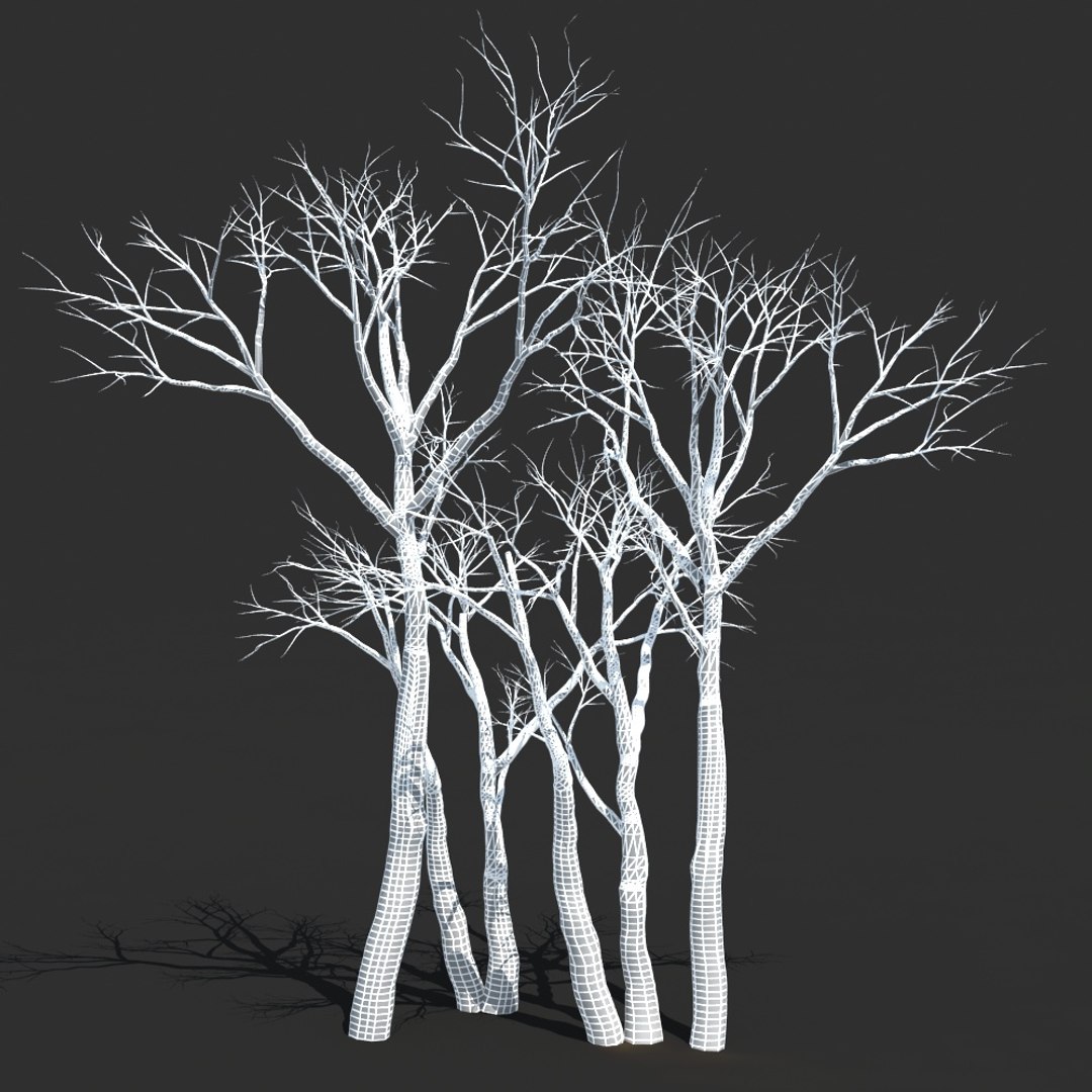 Scary Tree Dry 3d X