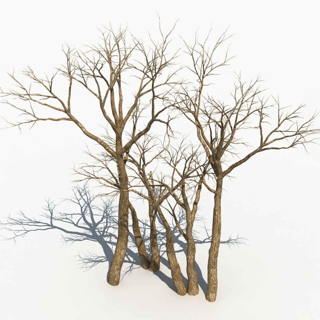 Scary Tree Dry 3d X