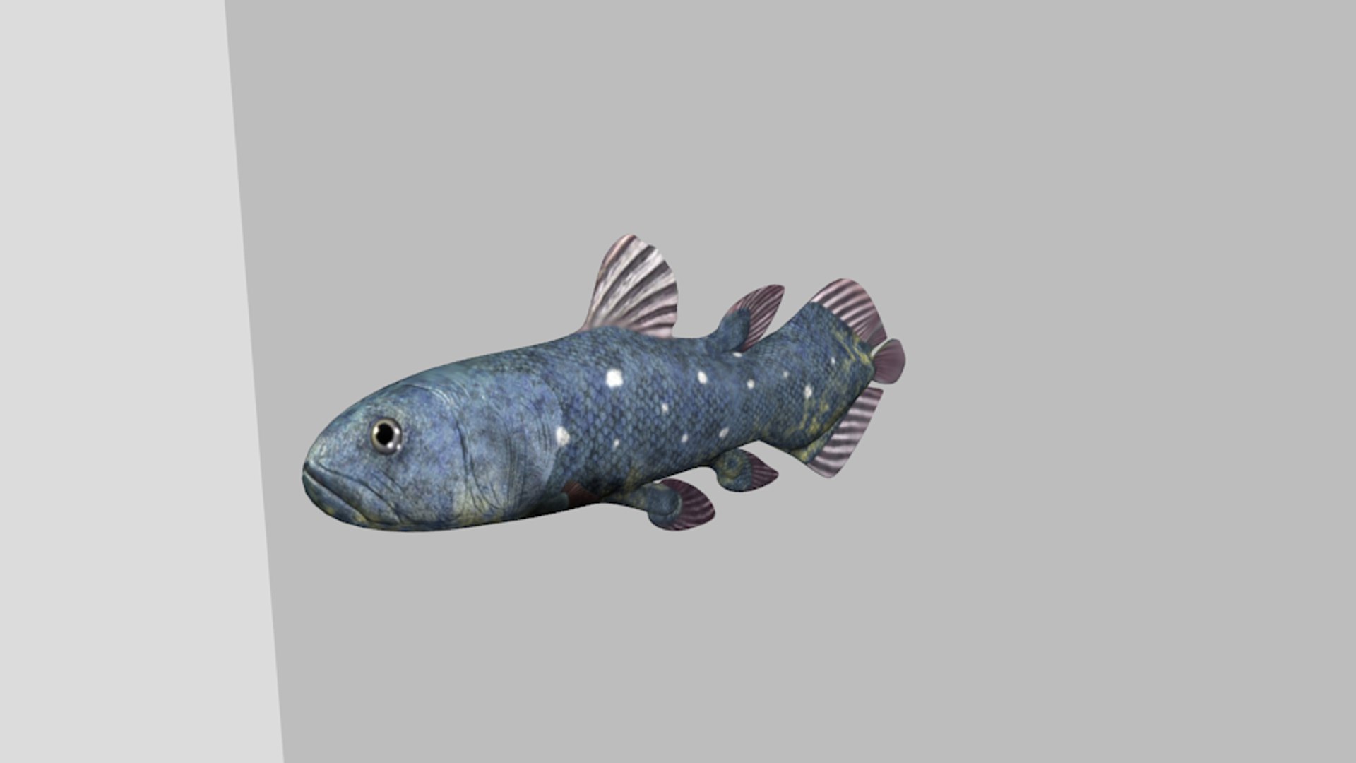 Fish Coelacant Model - TurboSquid 1376284