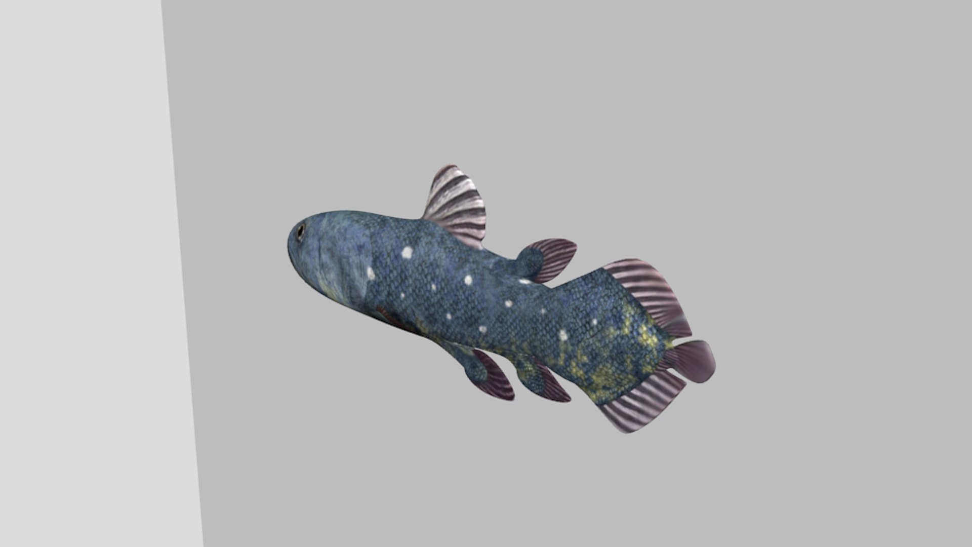 Fish Coelacant Model - TurboSquid 1376284