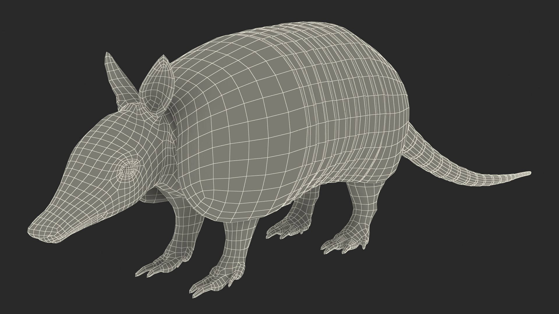 3D Model Armadillo Pink Fur - TurboSquid 2248331