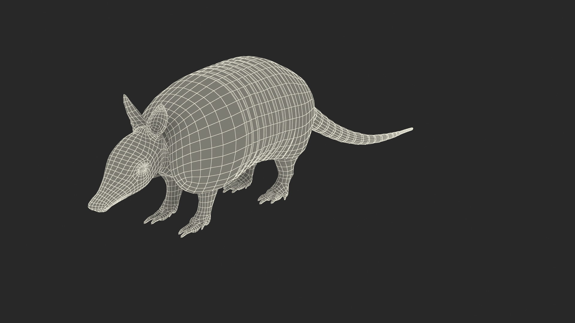 3D Model Armadillo Pink Fur - TurboSquid 2248331