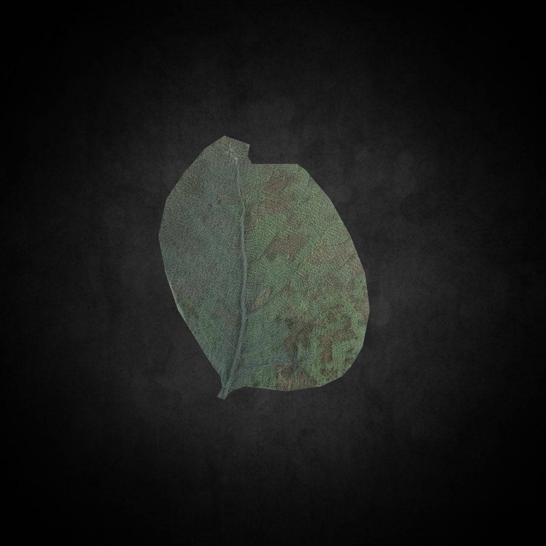 3D Low Poly Leaf 026 Model - TurboSquid 1852151