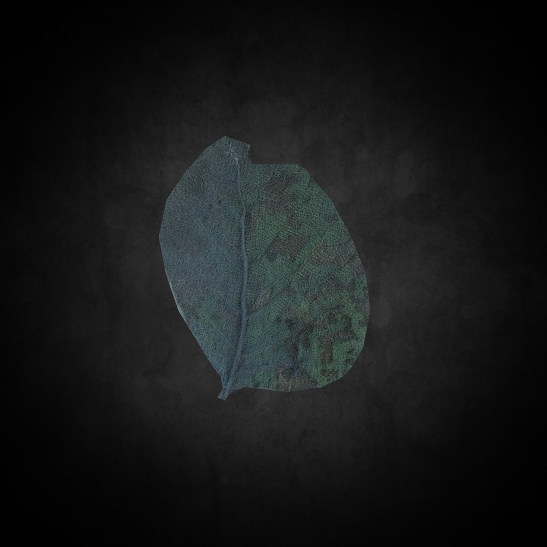 3D Low Poly Leaf 026 Model - TurboSquid 1852151