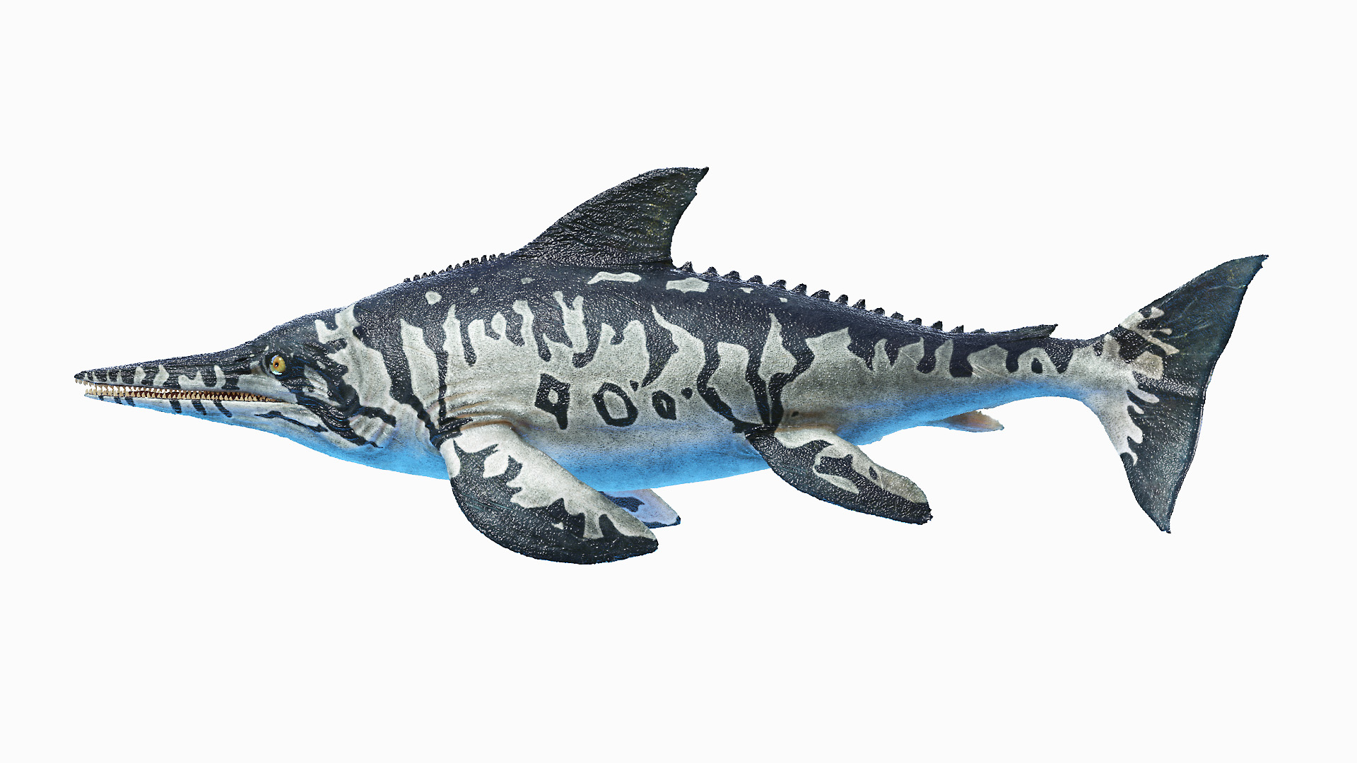 Ichthyosaur 3D Model - TurboSquid 1662546