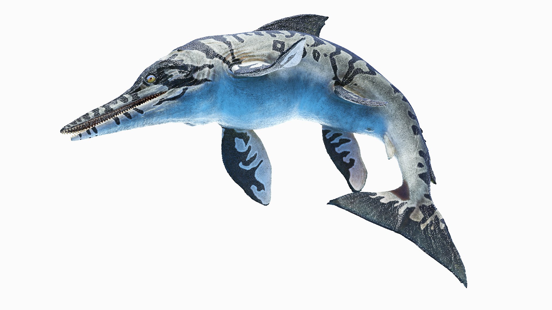 Ichthyosaur 3D Model - TurboSquid 1662546