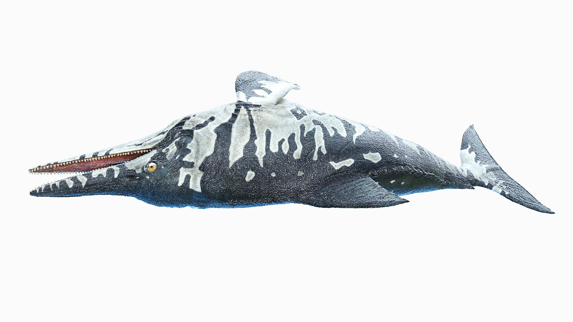 Ichthyosaur 3D Model - TurboSquid 1662546
