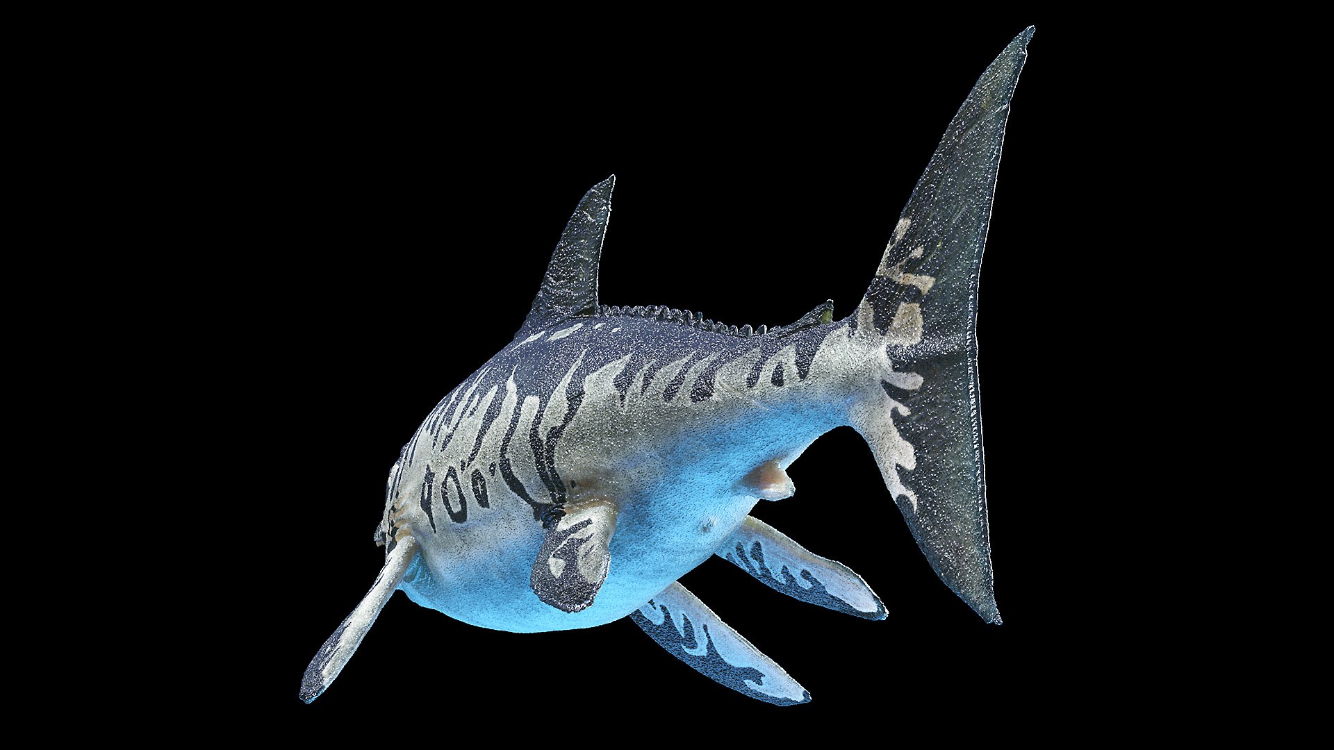 Ichthyosaur 3D Model - TurboSquid 1662546