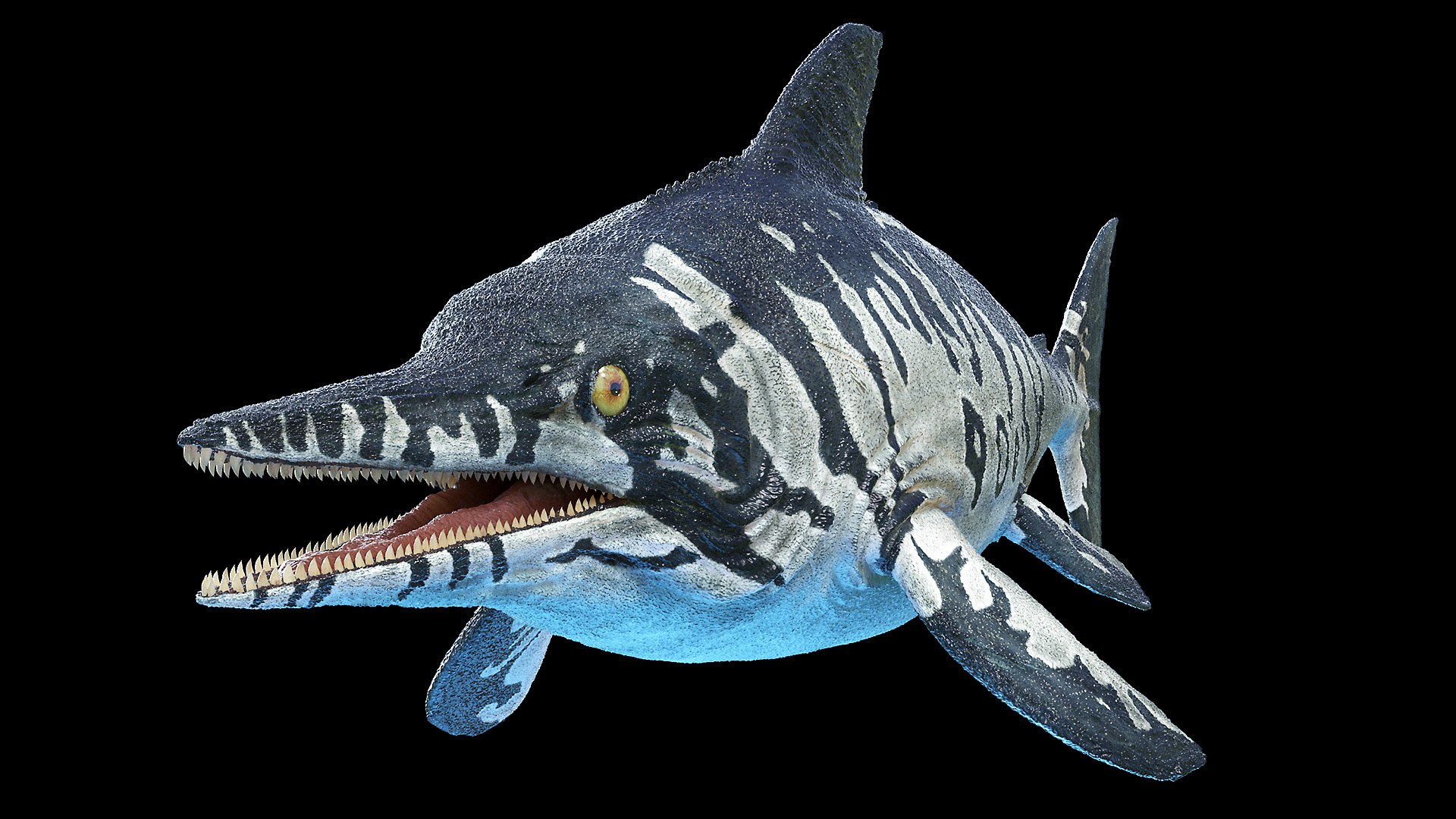Ichthyosaur 3D Model - TurboSquid 1662546
