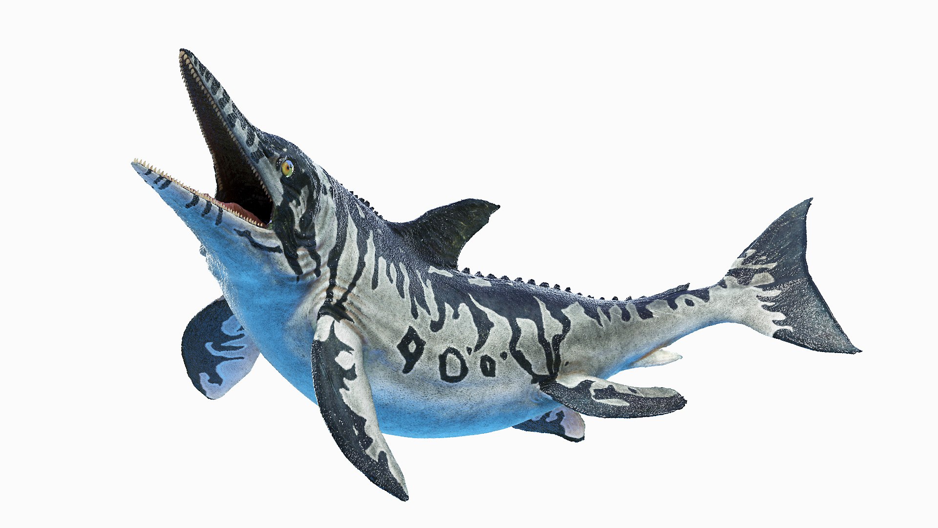 Ichthyosaur 3D Model - TurboSquid 1662546