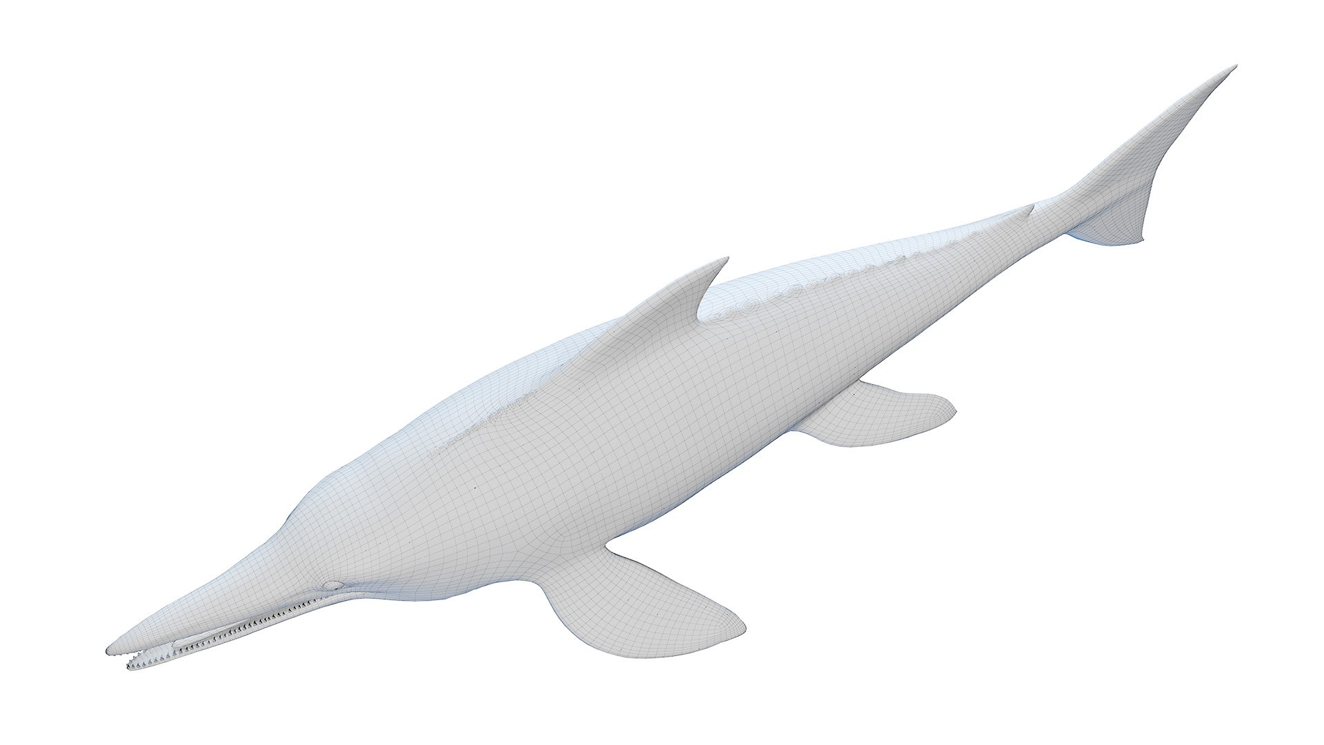 Ichthyosaur 3D model - TurboSquid 1662546