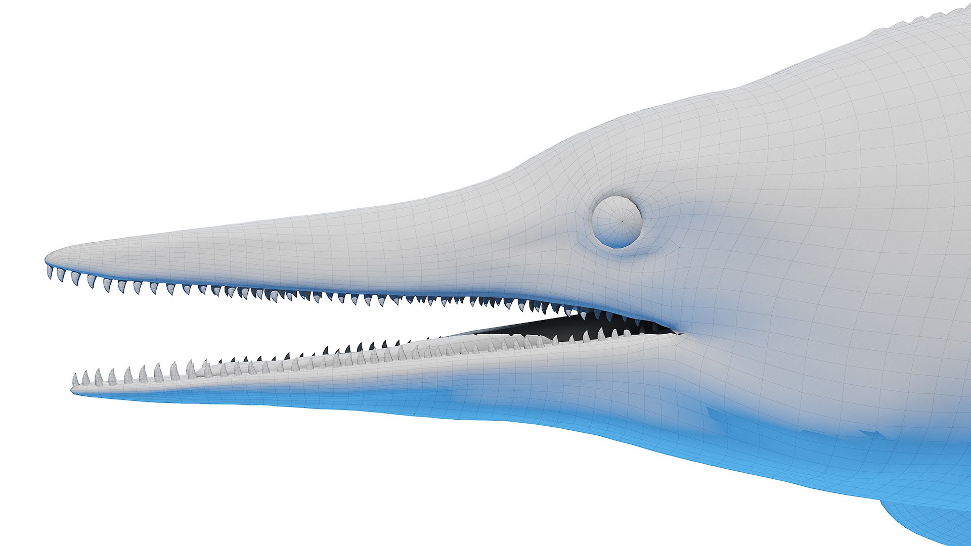 Ichthyosaur 3D model - TurboSquid 1662546