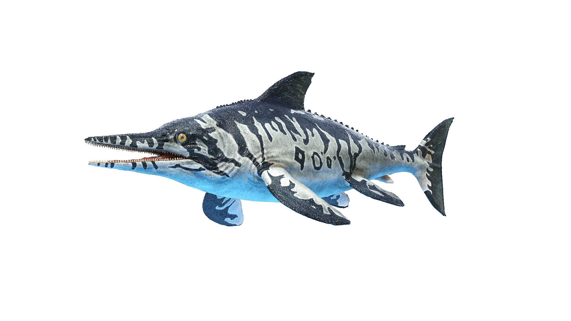 Ichthyosaur 3D Model - TurboSquid 1662546