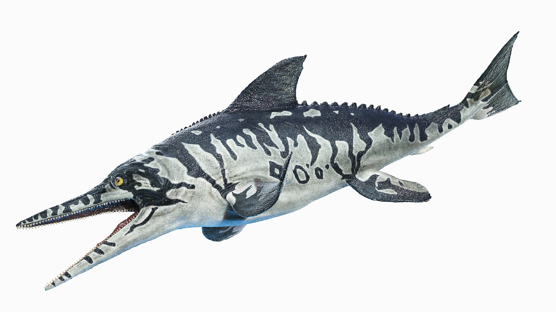 Ichthyosaur 3D Model - TurboSquid 1662546